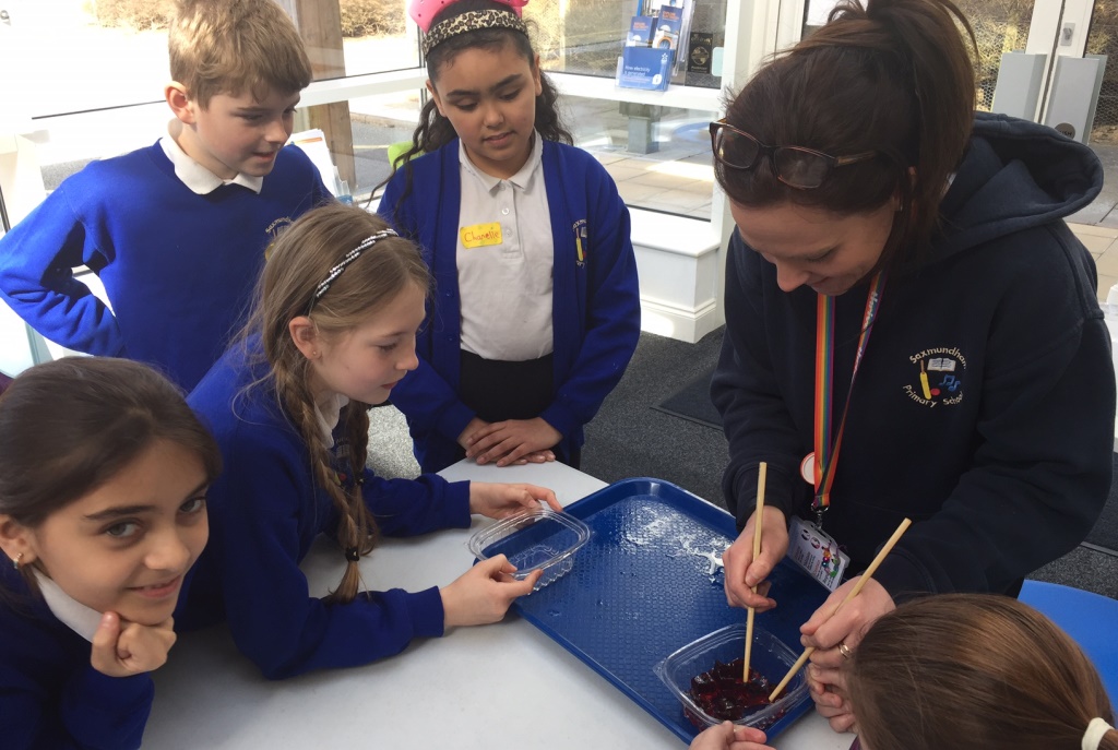 Saxmundham Primary School takes up science challenge - Sizewell C